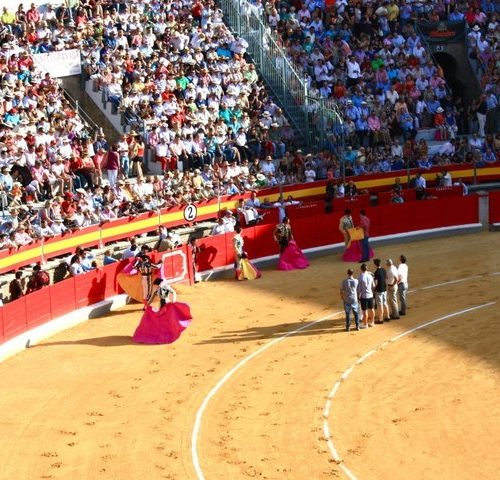 An Introduction to Spanish Bullfighting – Sincerely, Spain
