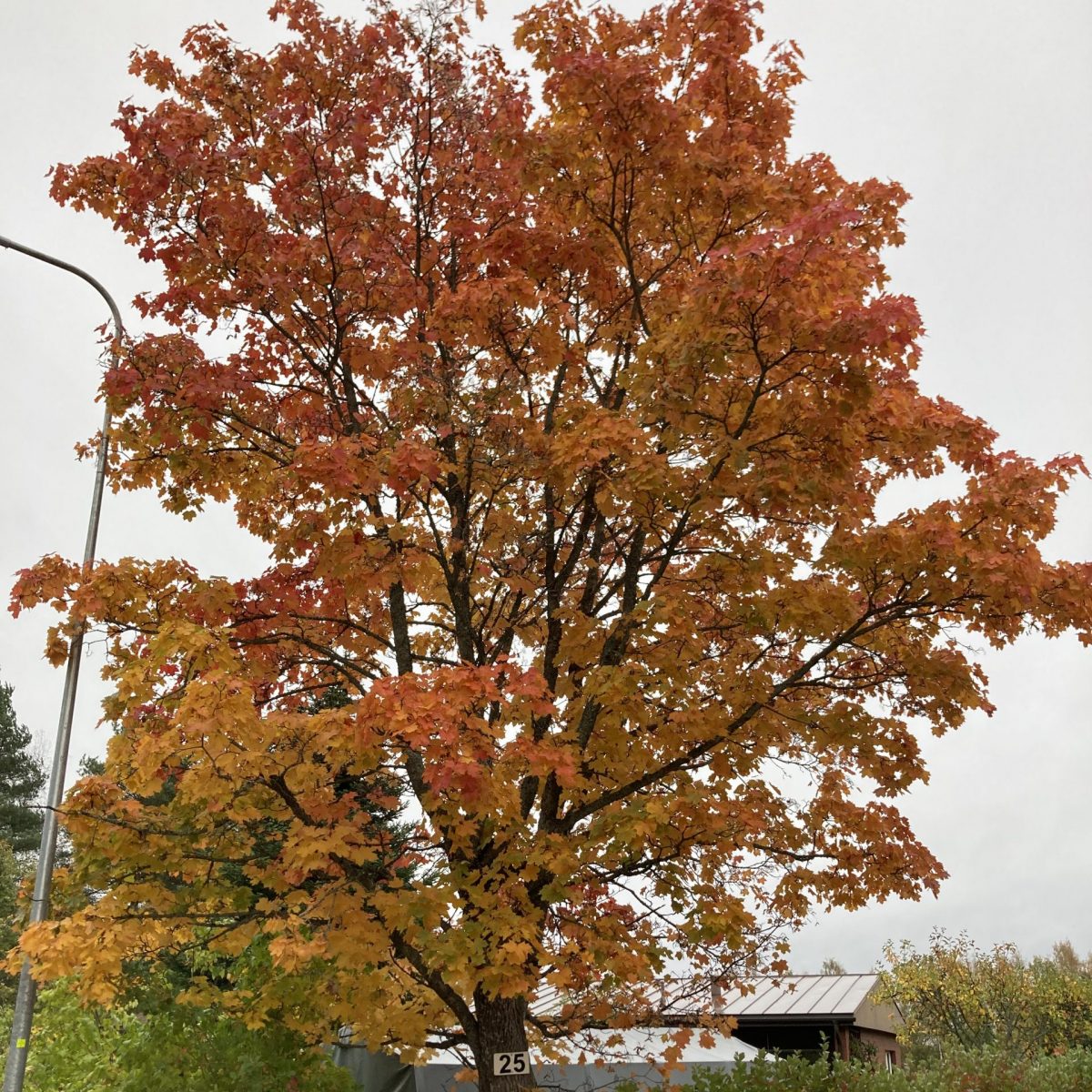 Redefining Ourselves in New Life Stages – Sincerely, Spain